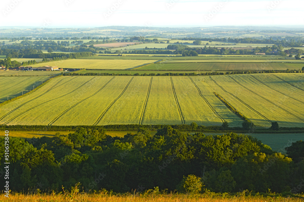 tramlines in a farm field Stock Photo | Adobe Stock