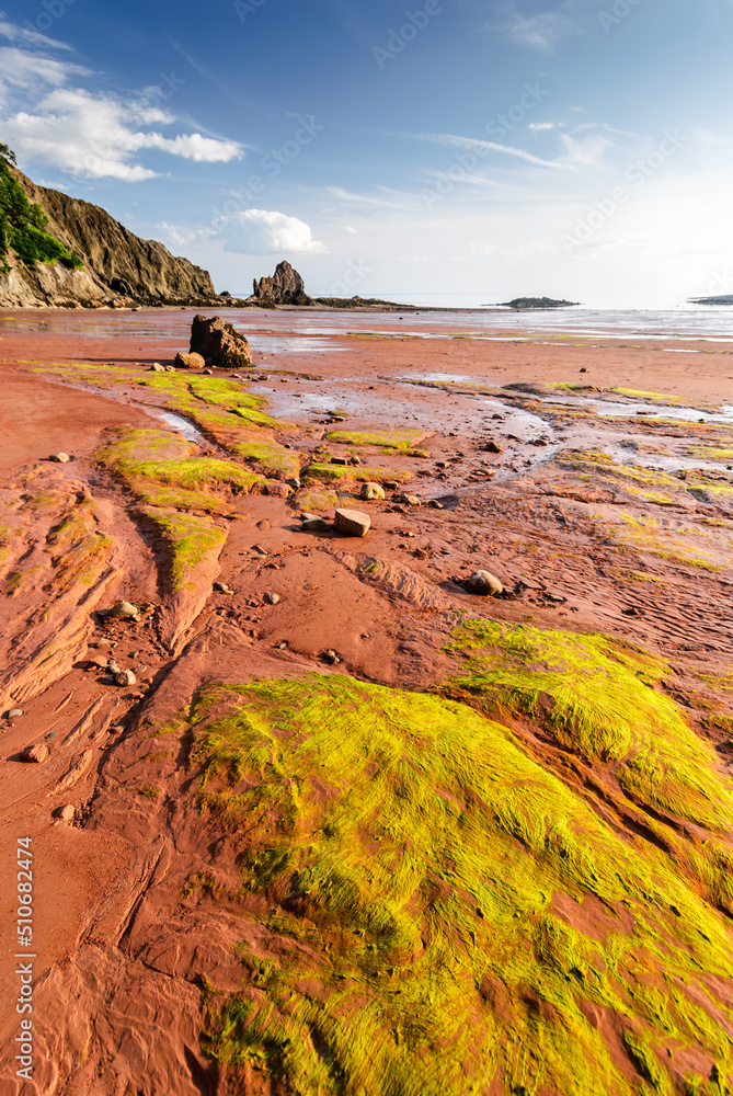 Five Islands Provincial Park, low tide in the Bay of Fundy reveals ...