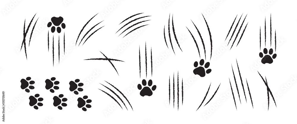 Cat claw scratch, slash vector icon, black paw mark set isolated on ...
