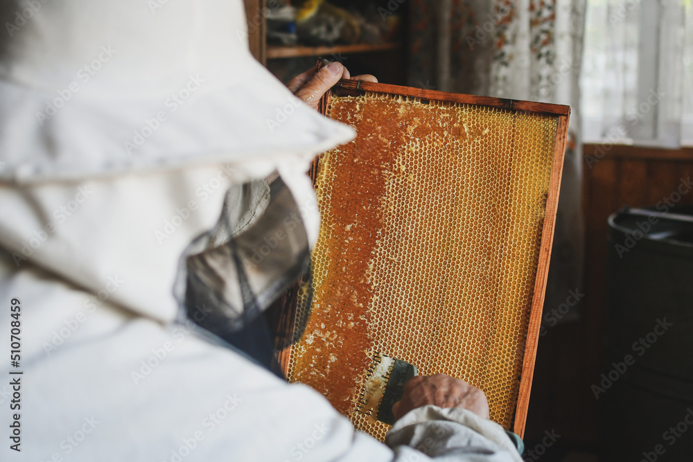 Close up process of honey production, beekeeper collecting honey. Using ...