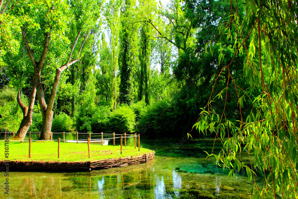 Marvelous scenery in Fonti del Clitunno park with the lush thickets of ...