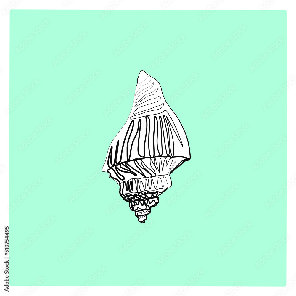 Sea shell continuous line drawing, single line on a white background ...