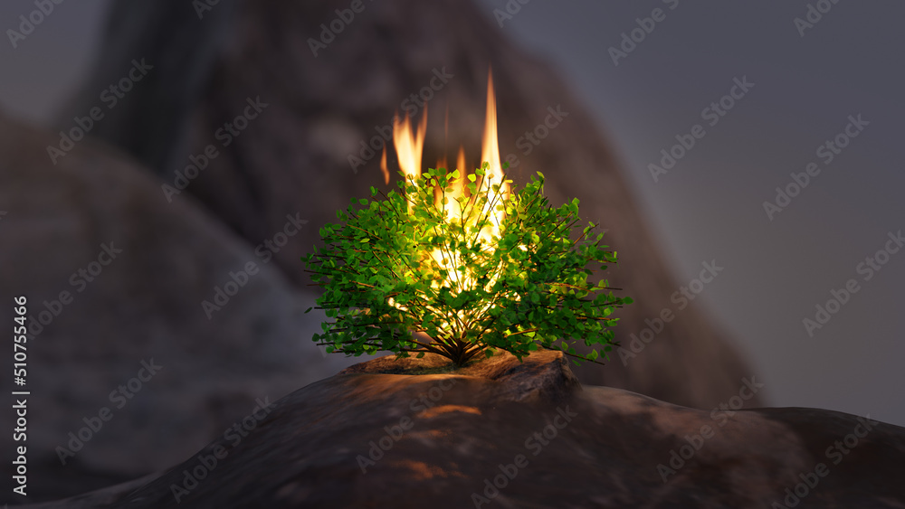 Burning bush, a depiction of the scene of Moses encountering God in the ...