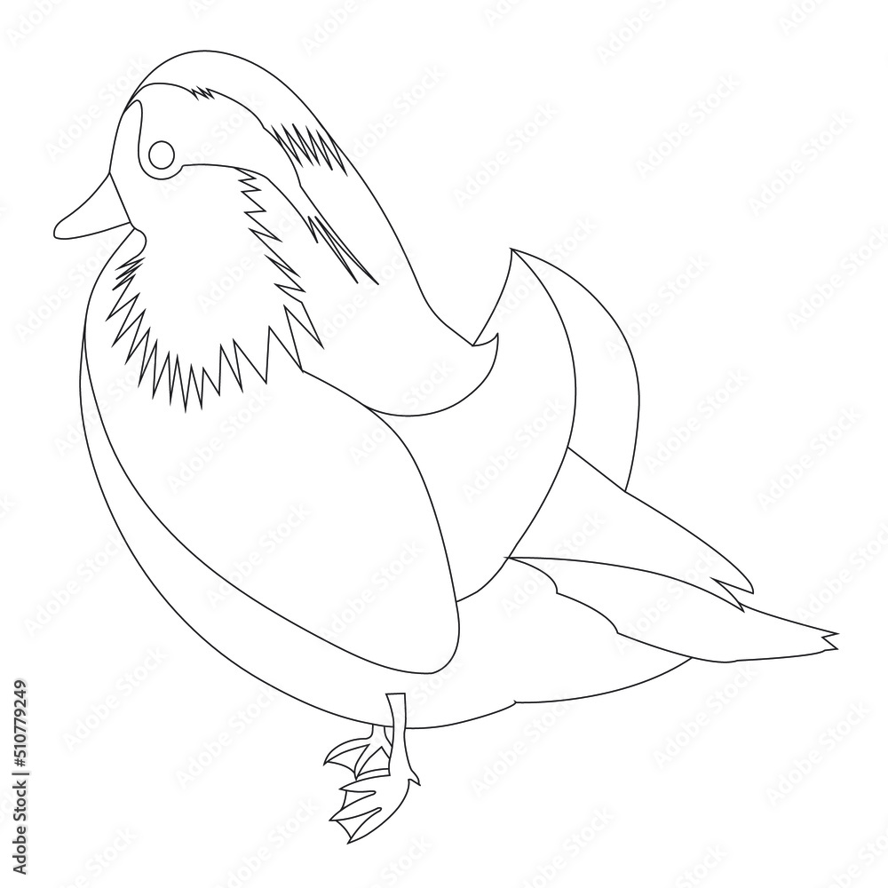 mandarin duck outline sketch ideal for coloring school children Stock ...