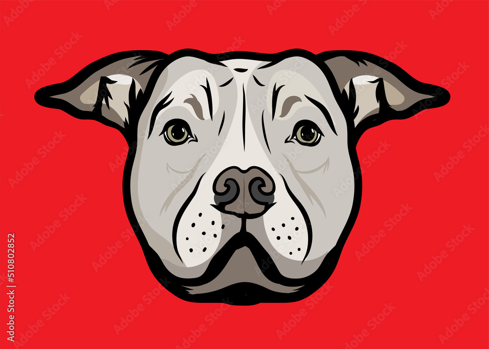 American Staffordshire bull Terrier dog isolated vector illustration ...
