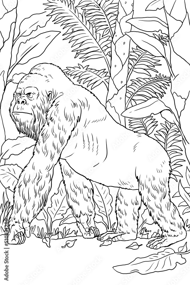 Prehistoric primates gigantopithecus. Giant orangutan. Ancestors of ...