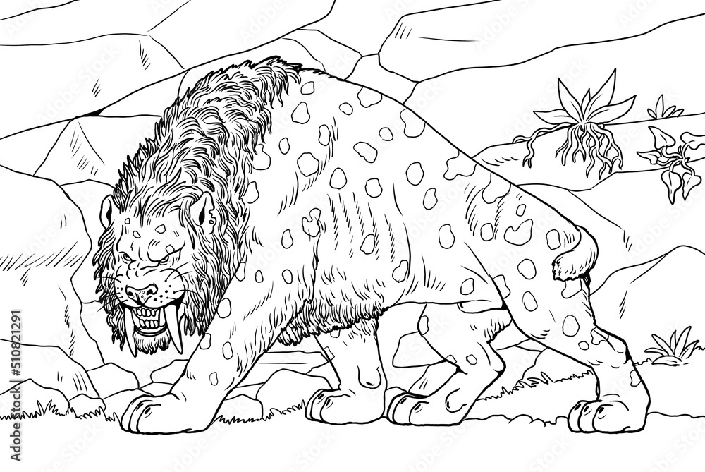 Saber tooth cat on the hunt. Animals drawing. Saber-toothed cat attack ...