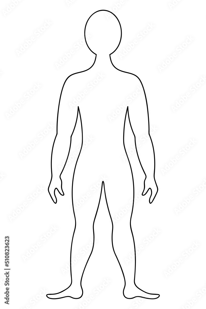 The human body. Sketch. Vector illustration. A muscular man in full ...