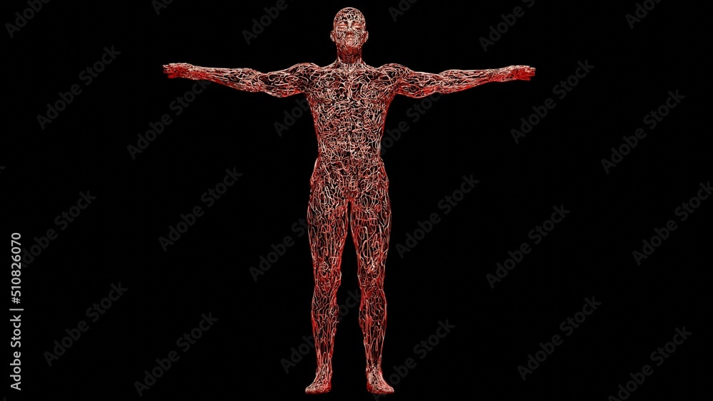 Man made of curves , twisting wires . Wireframe Human body made of vine ...