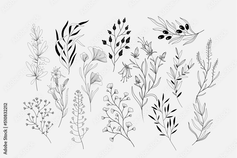 Floral branch and minimalist flowers for logo or tattoo. Hand drawn ...