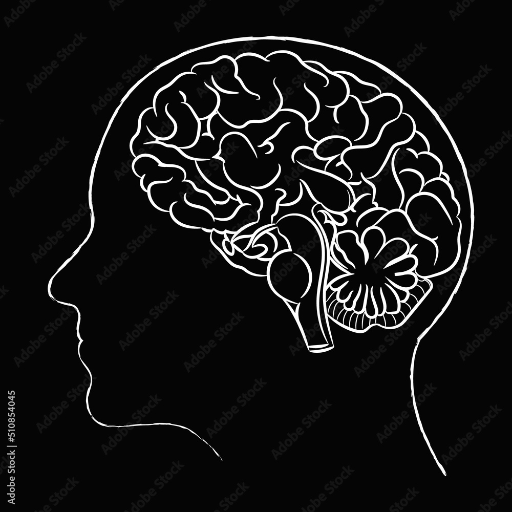 Human brain medical vector illustration isolated on black background ...