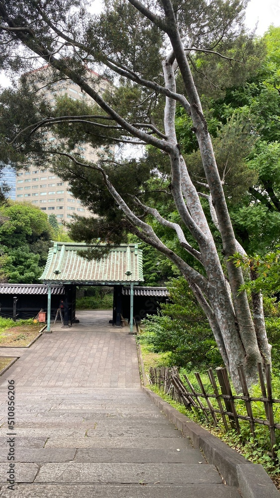 The steps and the entrance gate of Yushima shrine established in the ...