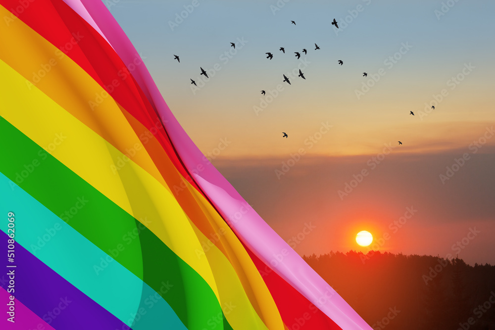 Waving LGBT pride flag on sunset sky with flying birds, rainbow flag ...