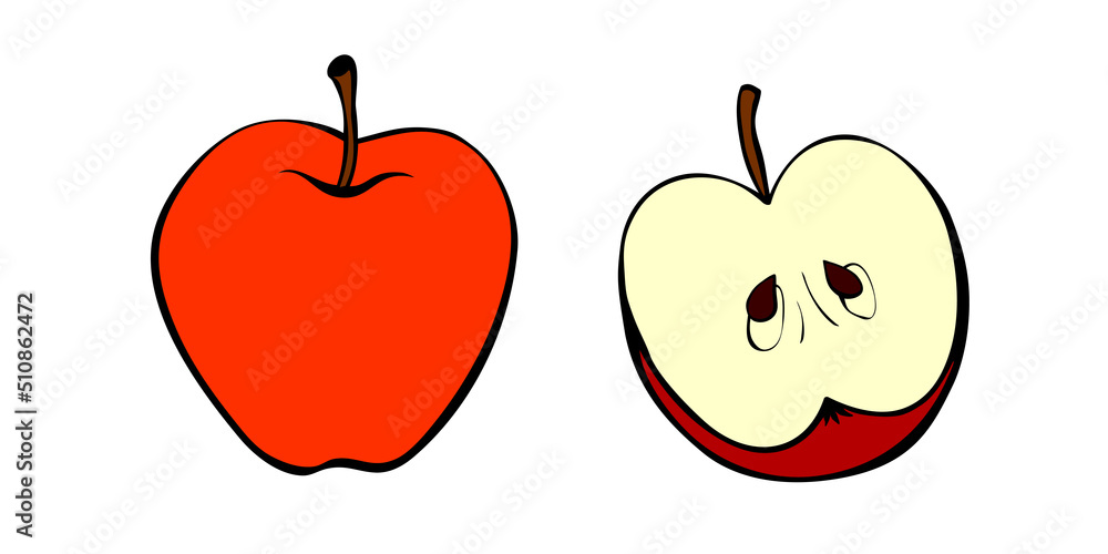 Vector color drawing of whole and cut in half apple in doodle flat ...