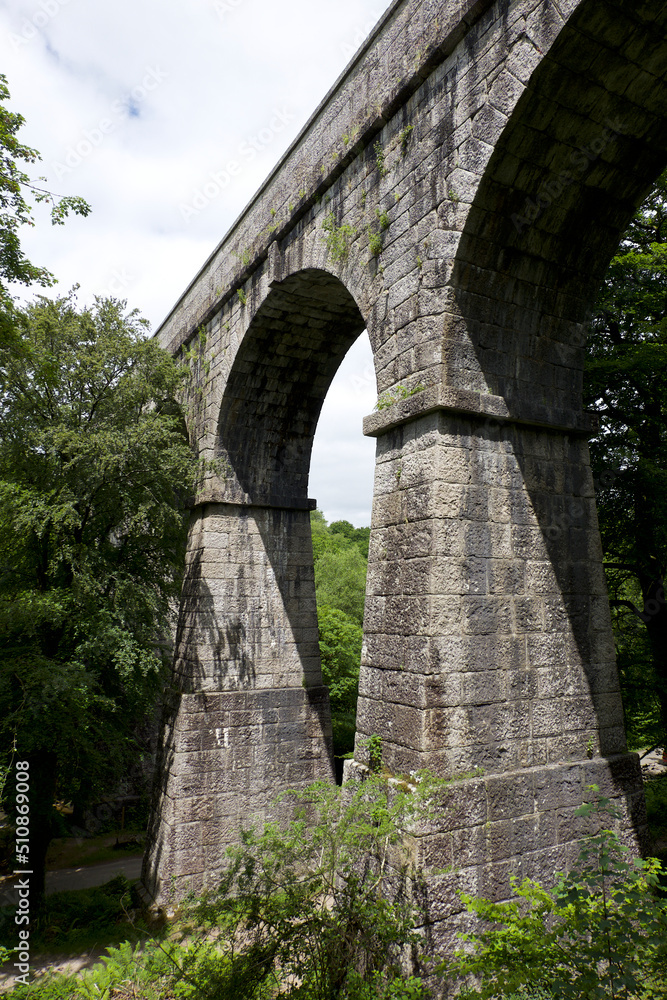 Treffry Viaduct 19th century industrial remains and World Heritage Site ...