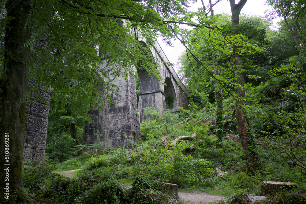 Treffry Viaduct 19th century industrial remains and World Heritage Site ...