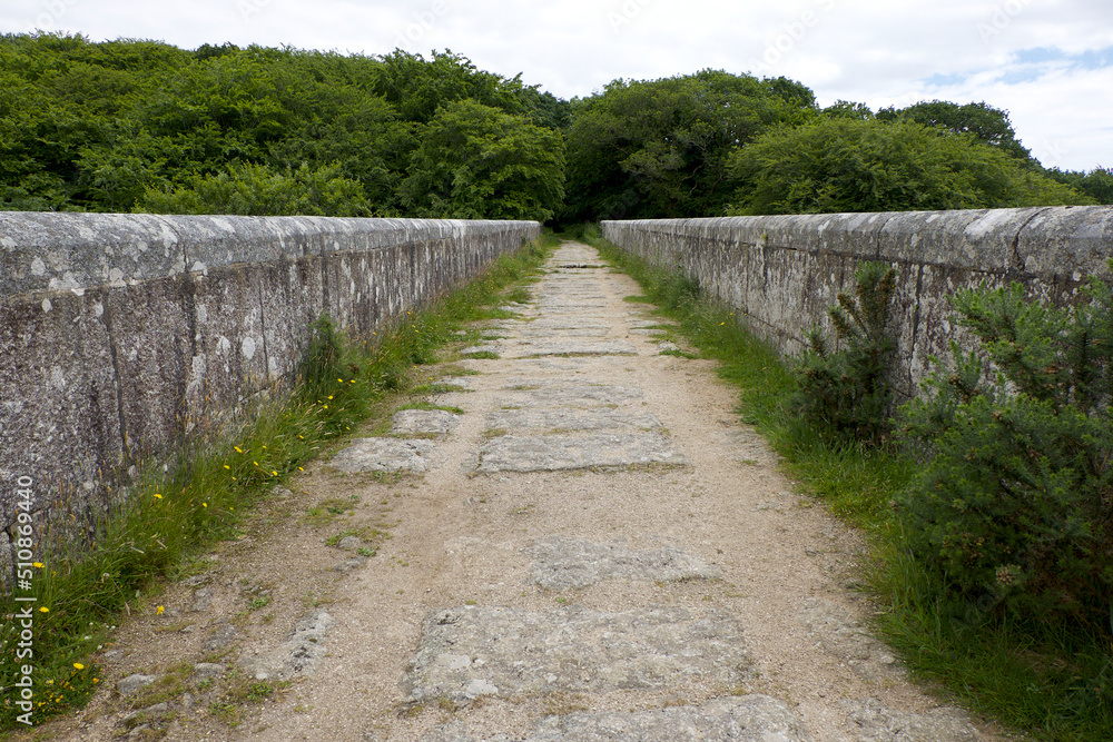 Treffry Viaduct 19th century industrial remains and World Heritage Site ...