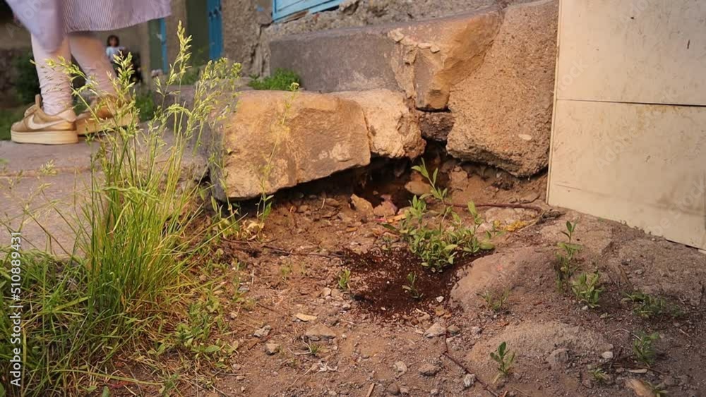 Comparing a horde of fighting ants with the feet of a little girl. Ant ...