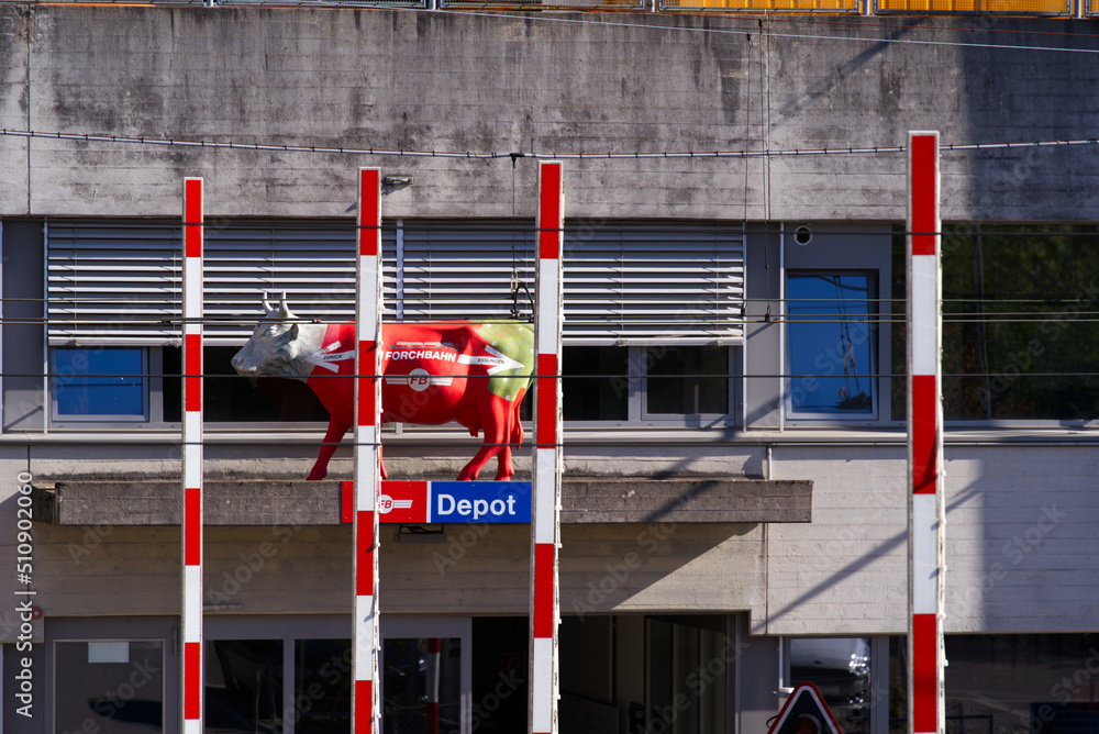 Cow standing on porch roof of depot of Forch Railway on a sunny summer ...