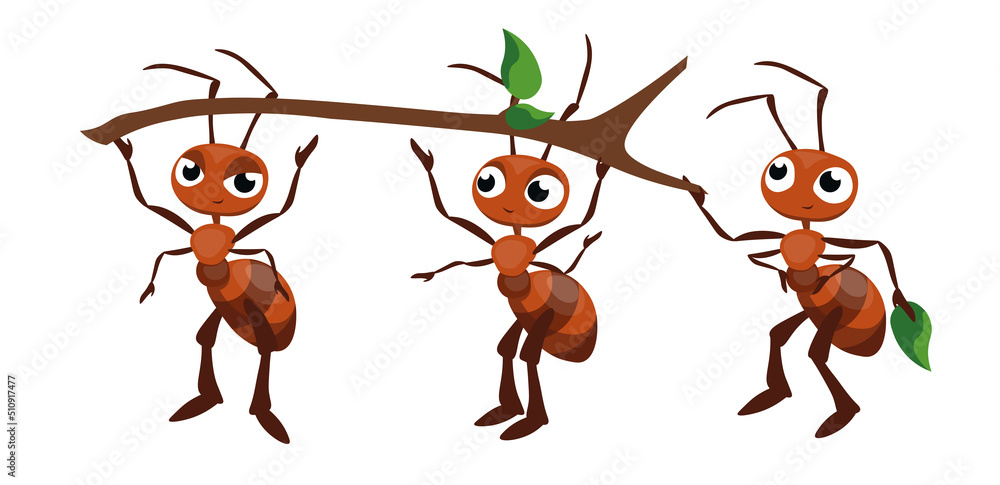 Vector illustration of cute and beautiful ants on white background ...