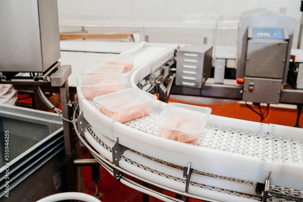 Conveyor Belt Food.Automated production line in modern food factory.A ...
