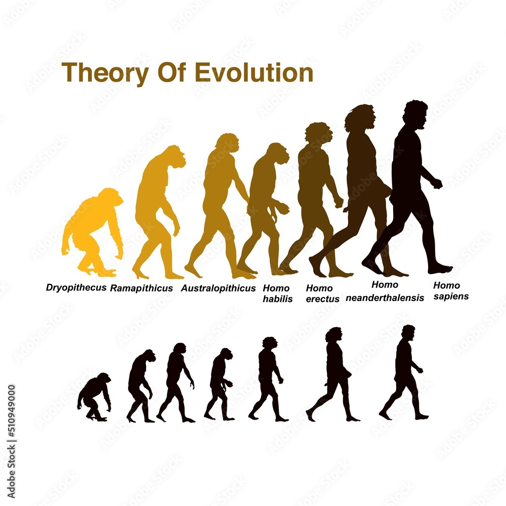 Vetor de Theory of Evolution of human vector illustration silhouette ...