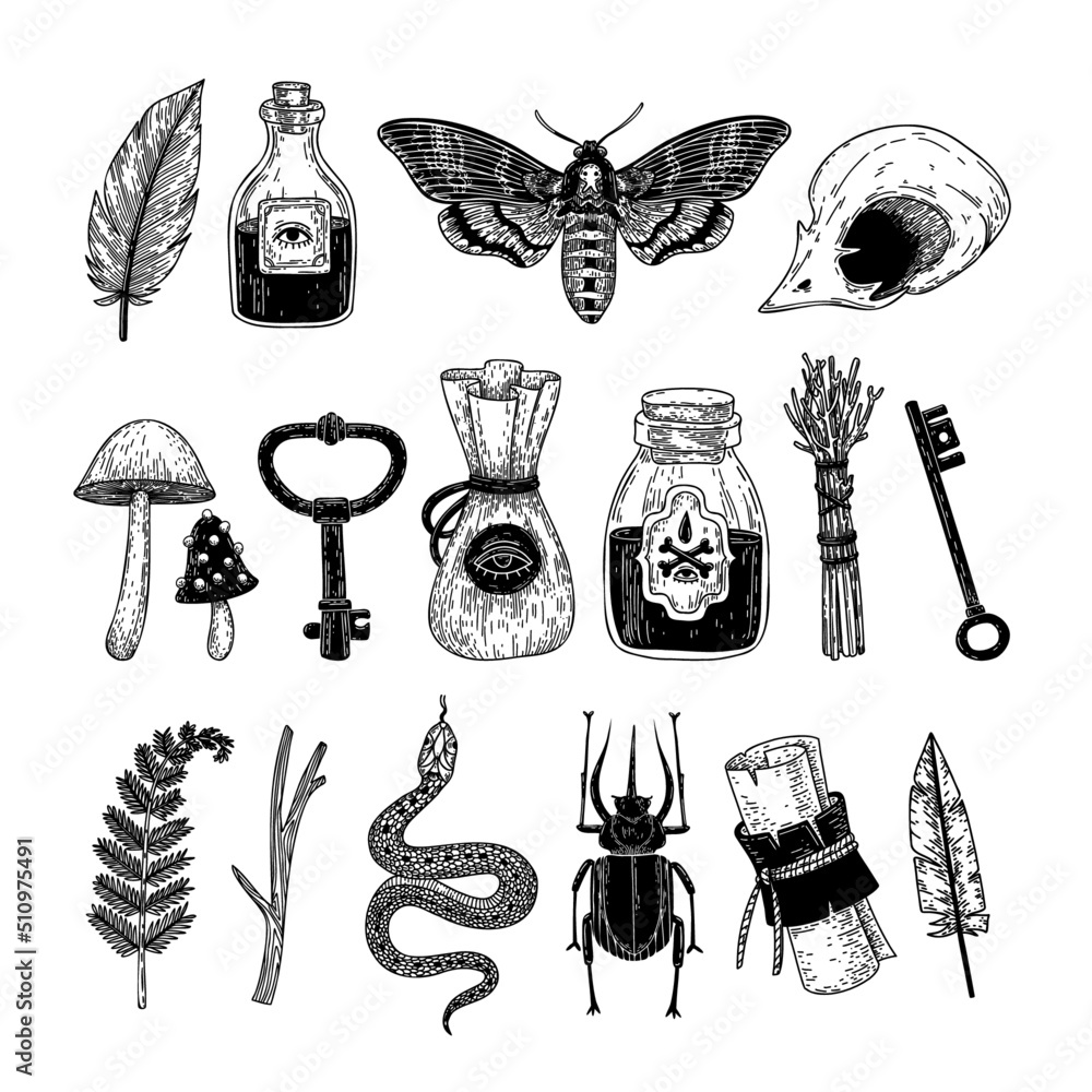 Collection of vector illustrations of mystical, magical items. Potions ...
