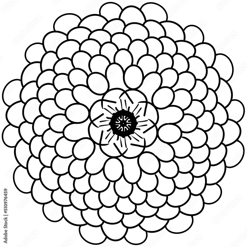 Hand Drawn Line Art Drawing of Flower.Sketch line drawing flower ...