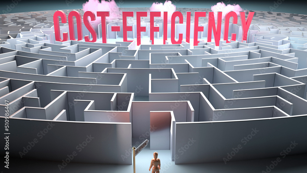 Cost efficiency and a challenging path that leads to it - confusion and ...