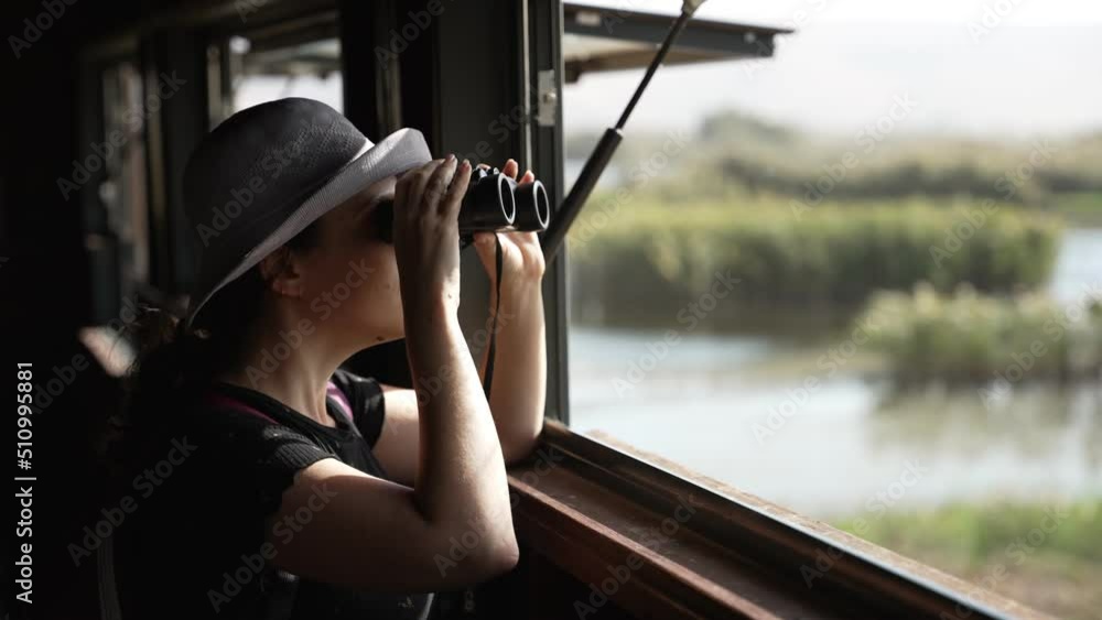 Female birdwatcher birding from observatory in natural reserve using ...