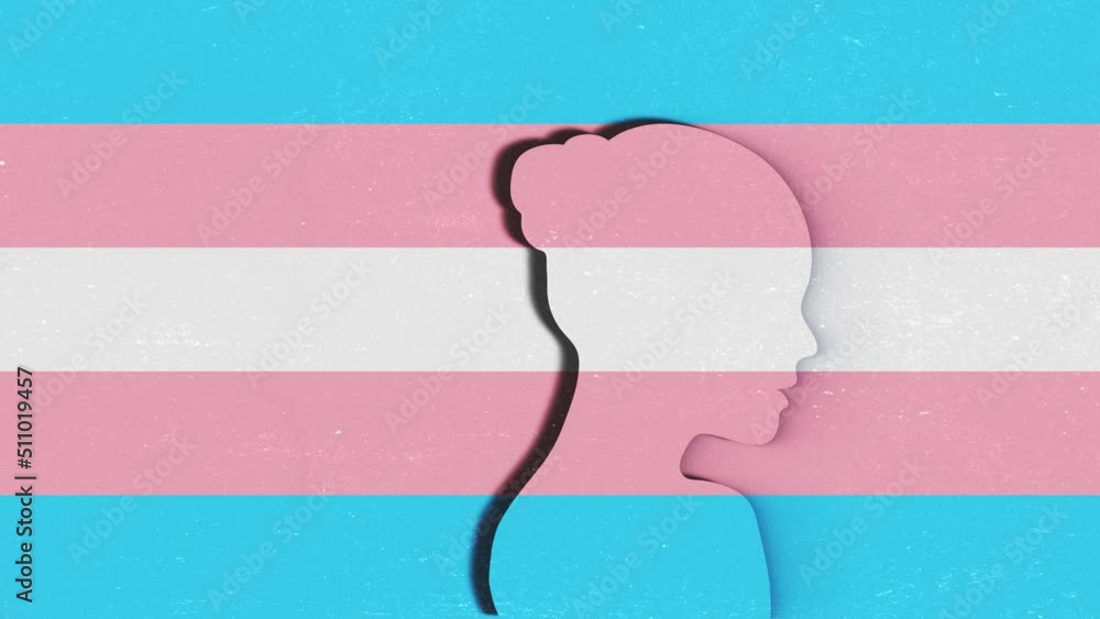 Transgender flag loop animation. Silhouette of a woman and a man. Pride ...