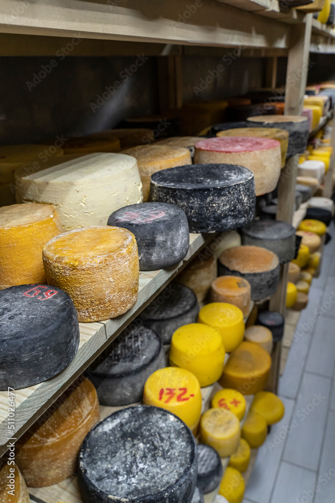 Farm cheese production. Cheese of different varieties on the shelves in ...