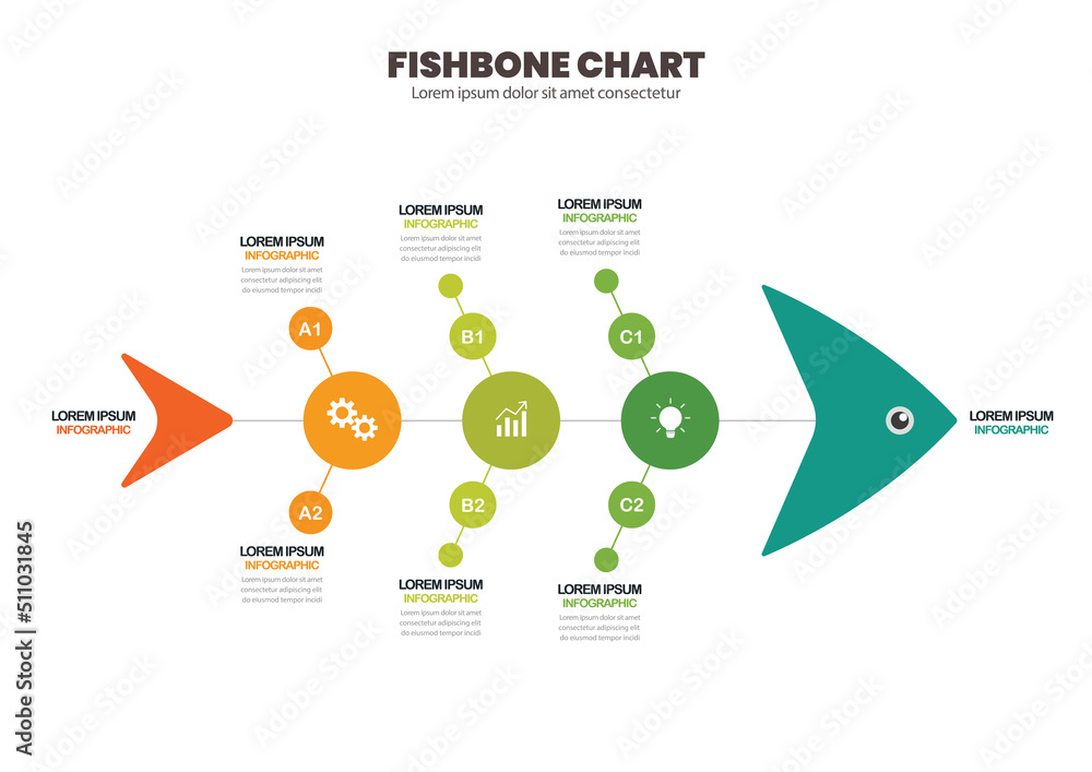 Fishbone chart diagram infographic Stock Vector | Adobe Stock