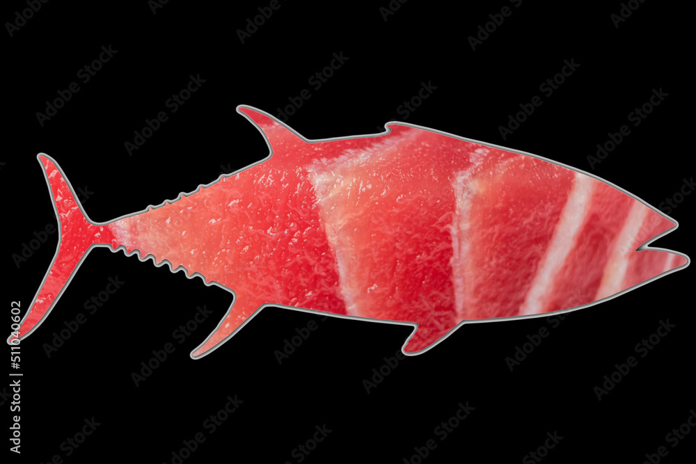 Fish-shaped tuna fillet isolated on black background. Yellow fin tuna ...