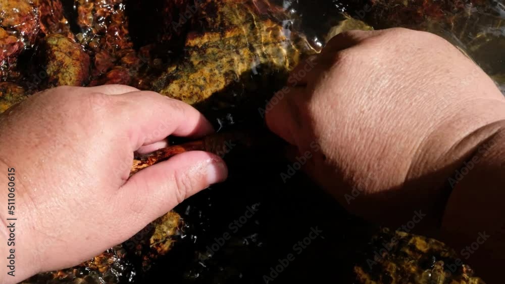 Vidéo Stock Obsidian has been long prized by Native Americans as a ...