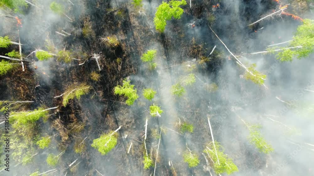 wildfire aerial view. uncontrolled wild fire in forest area. wildfire ...