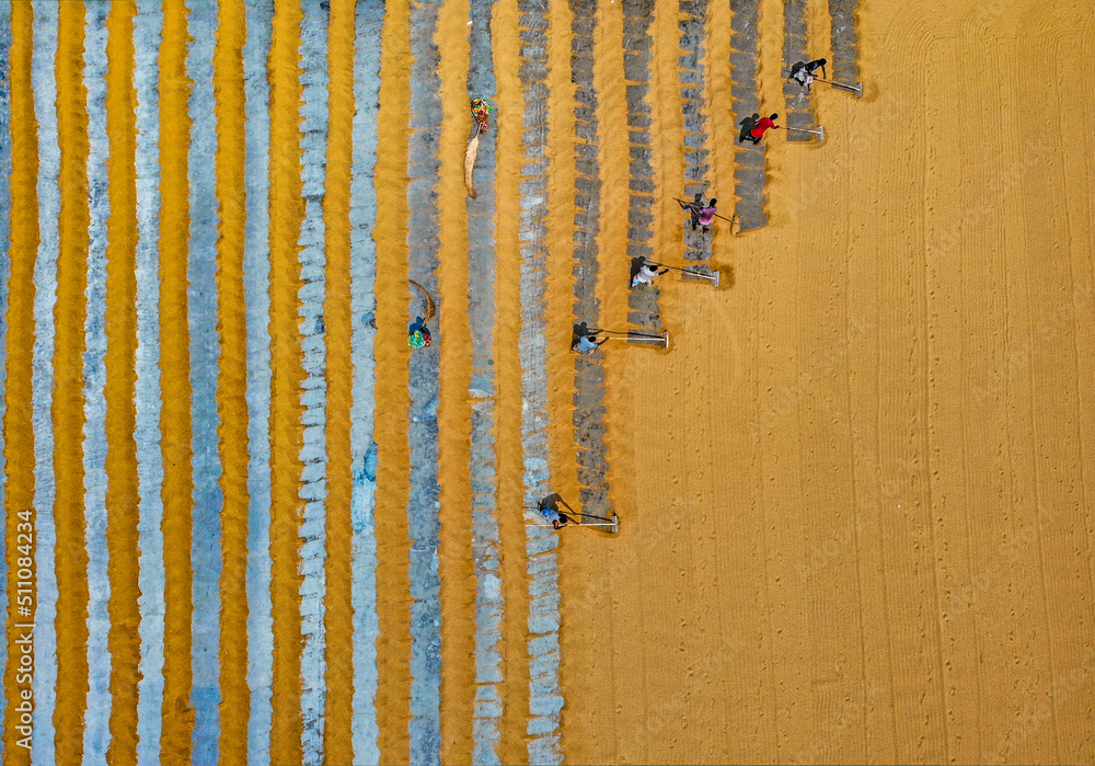 Workers working in small rice mill. Rice, paddy grain drying in sun ...