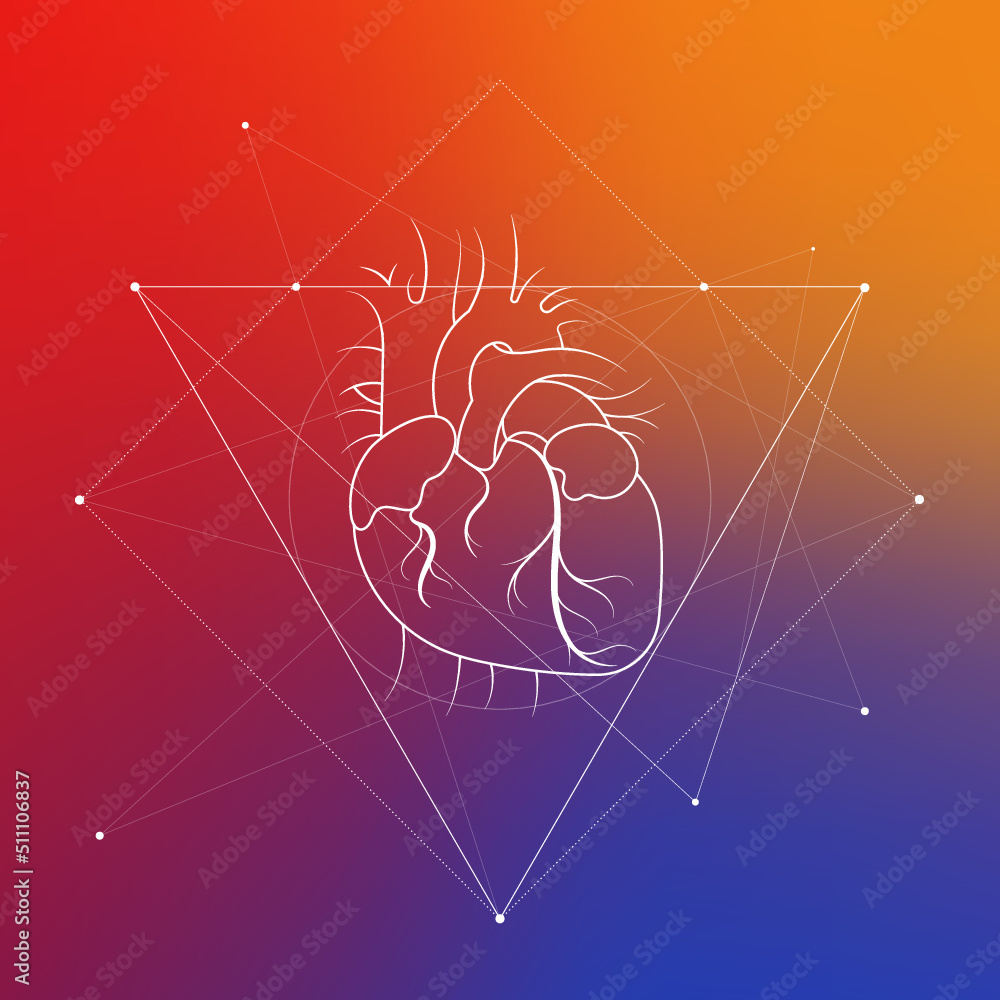 Minimal heart and cardiovascular system illustration on gradient. Human ...