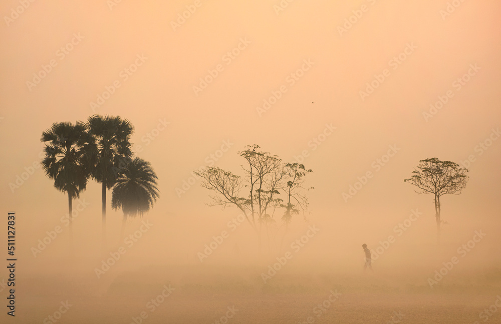 Foggy magical winter morning scenic view. Real beauty of rural ...