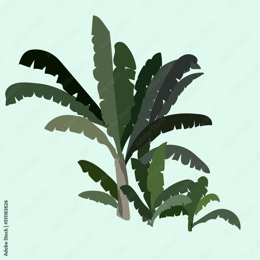 banana tree bush simple illustration in green background a couple of ...