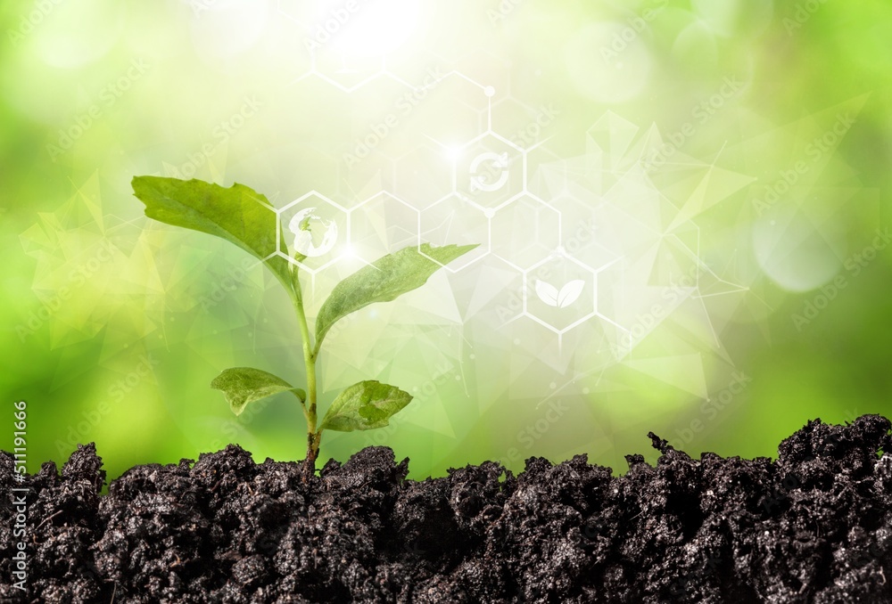 Microelements for plants nutrition. Factors necessary for the process ...