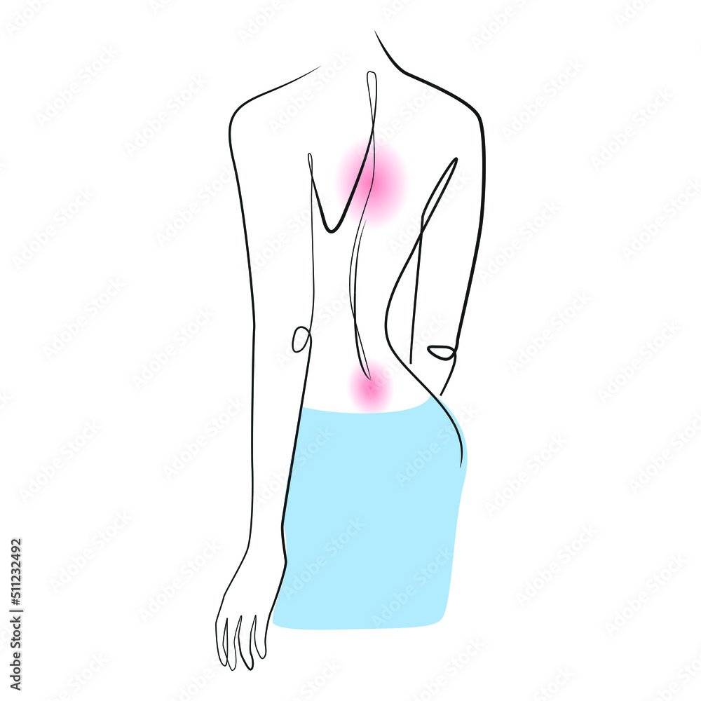 Woman back line art, human spine health on white isolated background ...