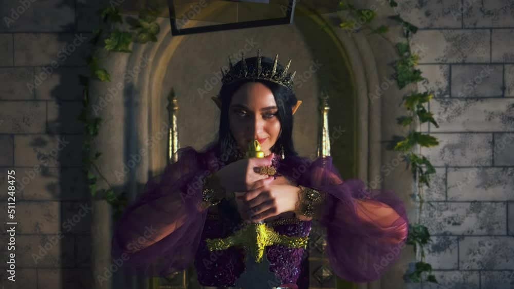 Vídeo do Stock: Fantasy art portrait gothic queen woman holding sword ...