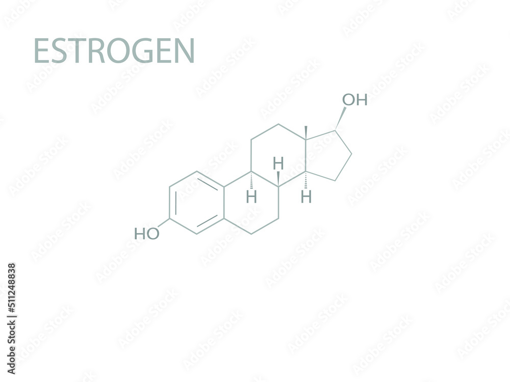 Estrogen molecular skeletal chemical formula. Stock Vector | Adobe Stock