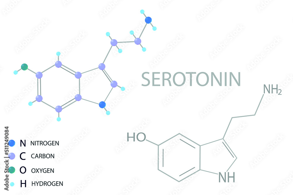 Serotonin molecular skeletal 3D chemical formula. vector de Stock ...