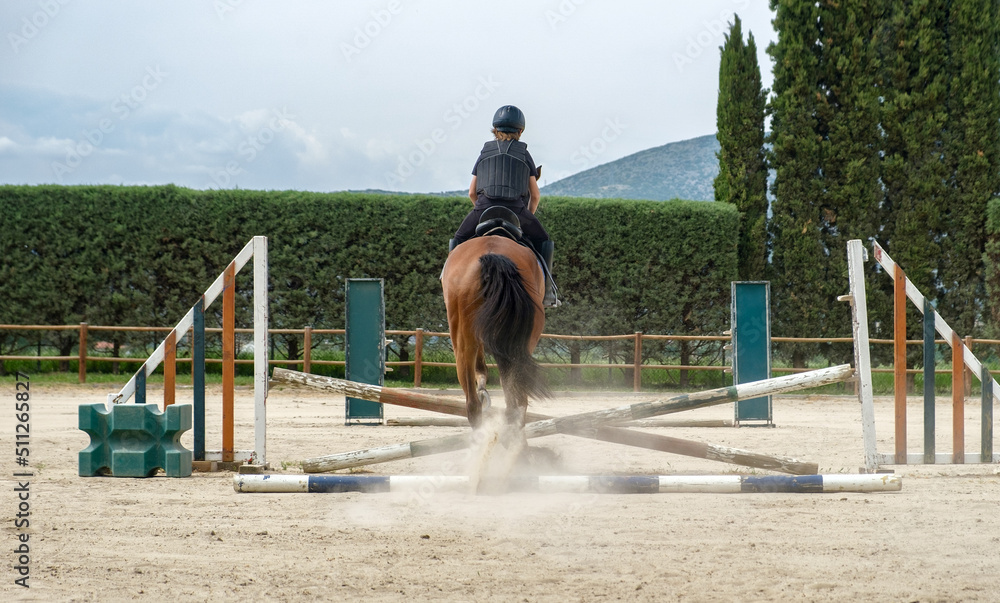Young boy on horse jumping over obstacles during training in paddock ...