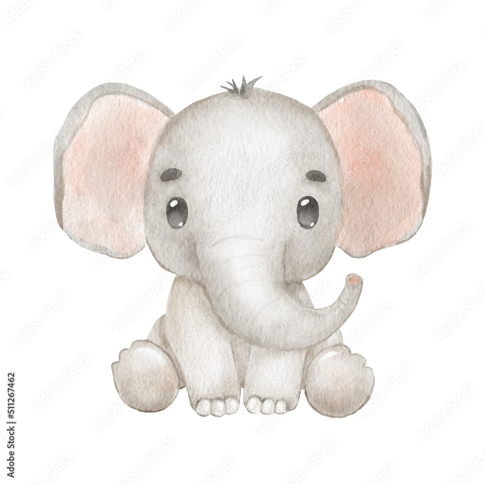 Baby Elephant Sitting Drawing
