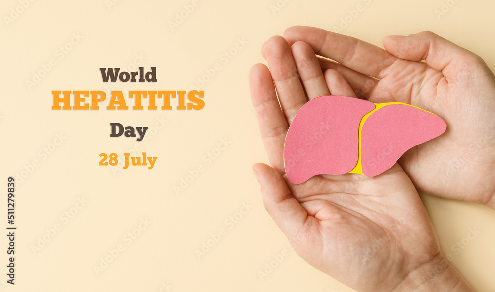 World hepatitis day. Adult hands holding liver on beige background ...