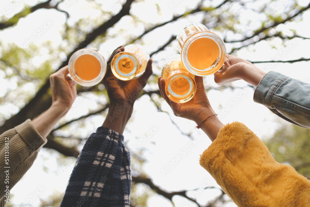 Group of young people having fun toasting with beers together Stock ...