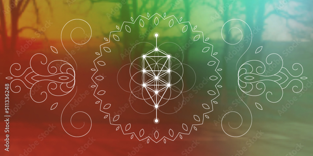 Sacred Geometry Tree Of Life Wallpaper